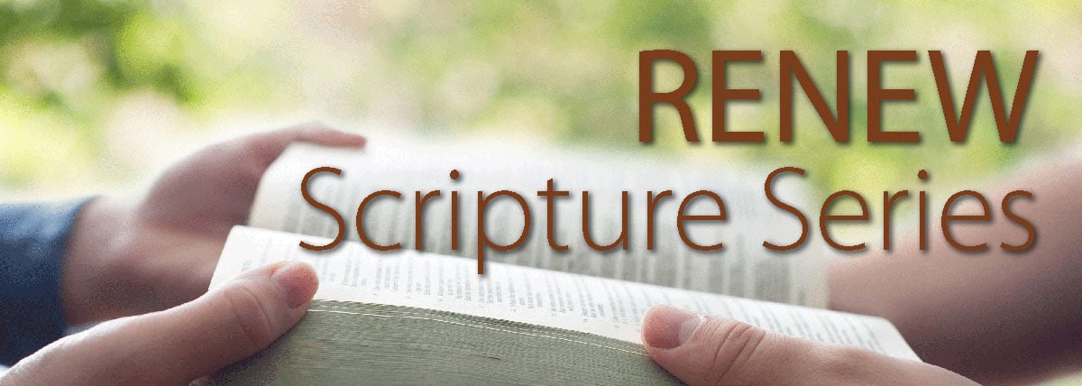 RENEW Scripture Series - RENEW International